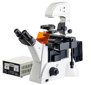 Fluorescence Microscope_Microscope X