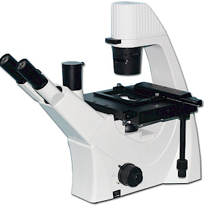Inverted Microscopes_Microscope X
