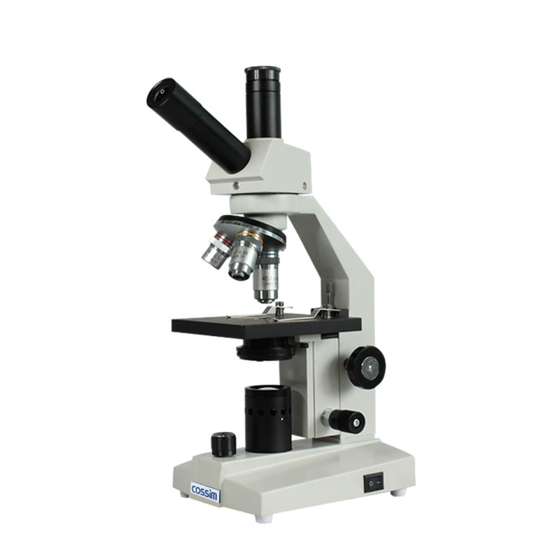 Halogen Lamp Microscope at Luke Earsman blog