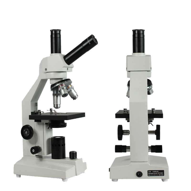 Halogen Lamp Microscope at Luke Earsman blog