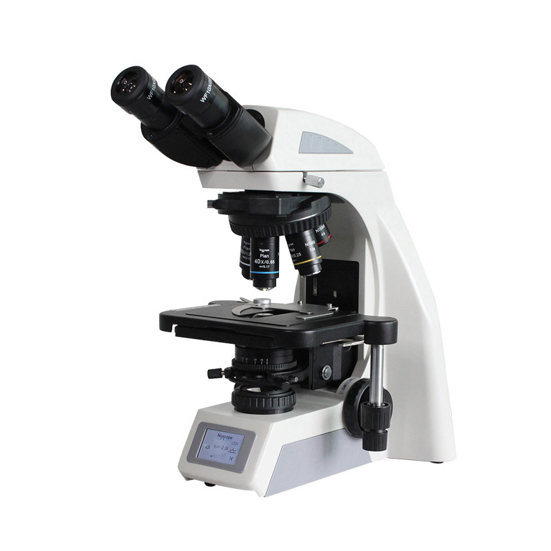 BL-620T 40X~1000X Laboratory Microscope Biological Laboratory ...